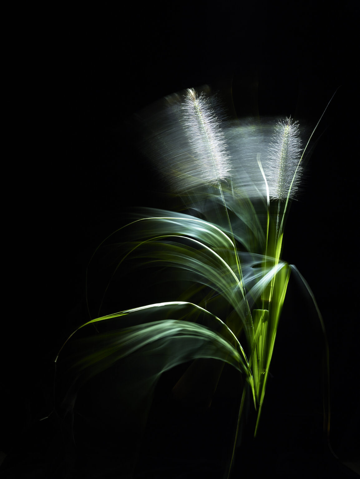 News | Richard Foster Photography